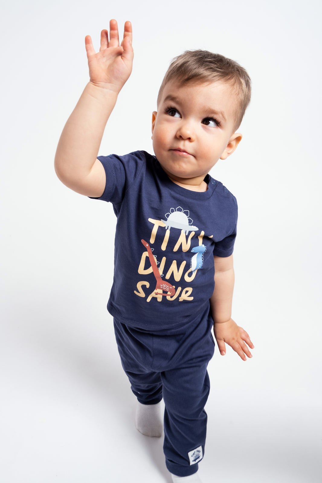 Babies – Cherubino